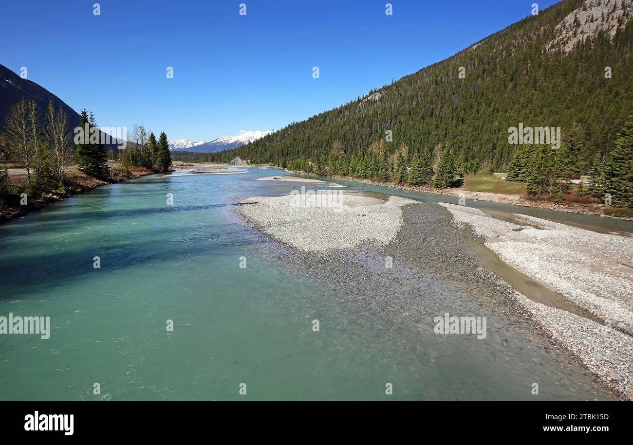 Kicking Horse River in Field, Canada Stock Photo - Alamy