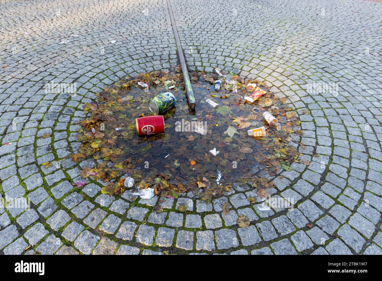 After the start of the carnival on November 11th, the next day ...