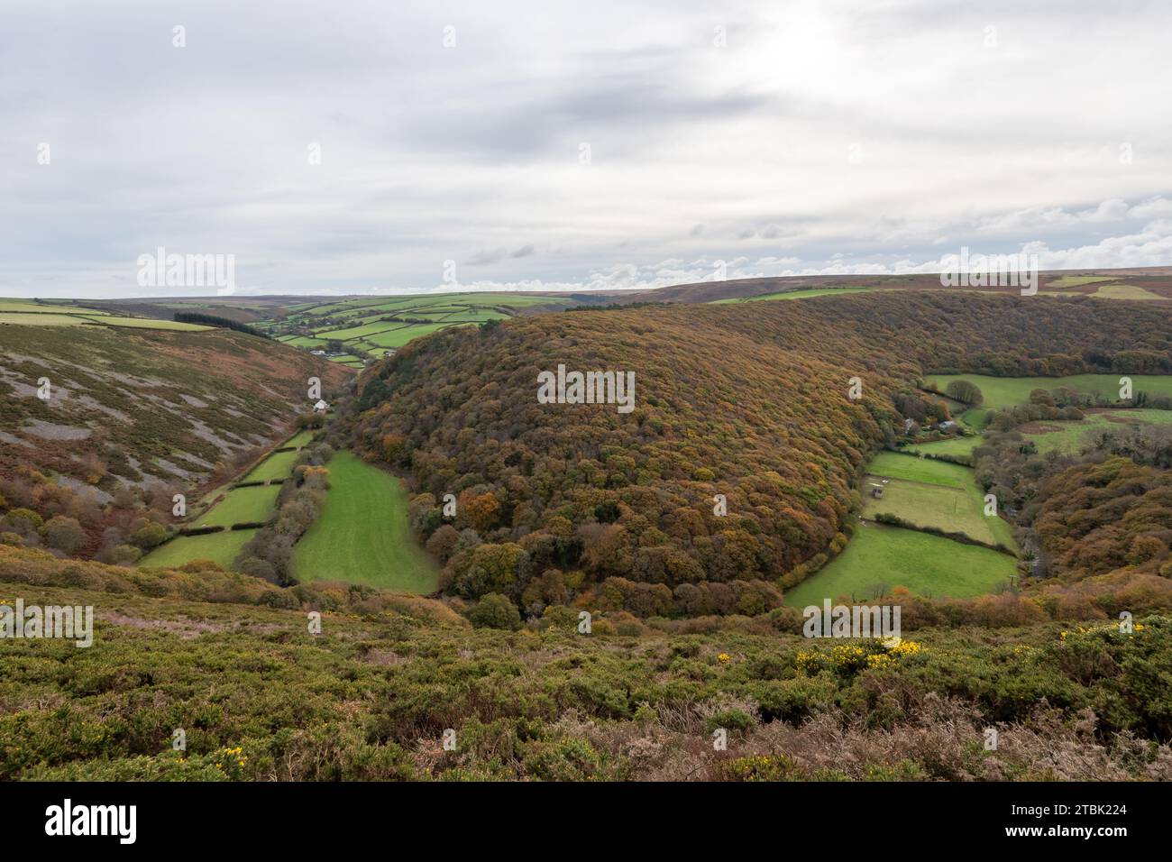 Landscape photo of the autumn colours in the Doone valley in Exmoor ...