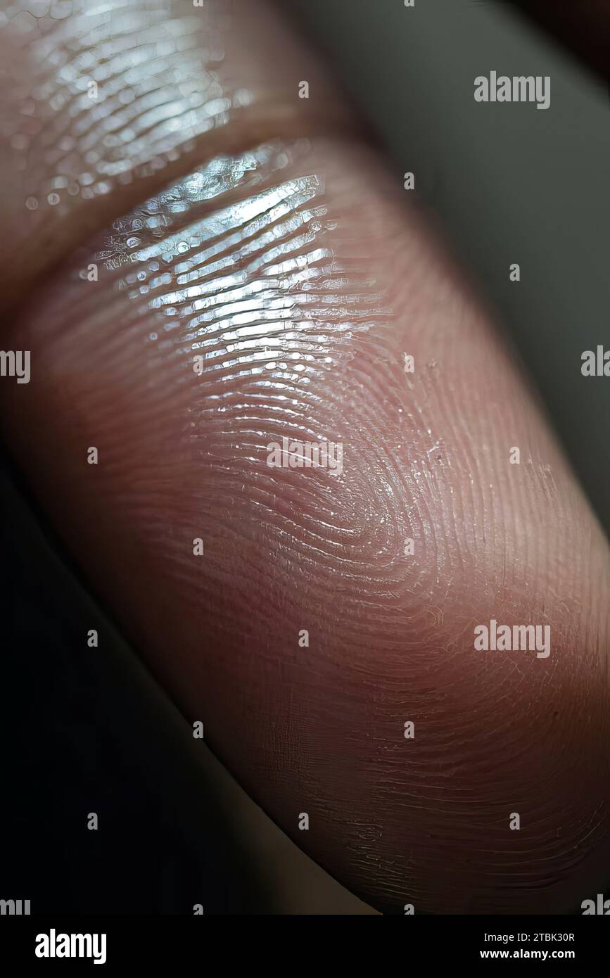 Fingerprint identity verification concept, criminal biometric research ...