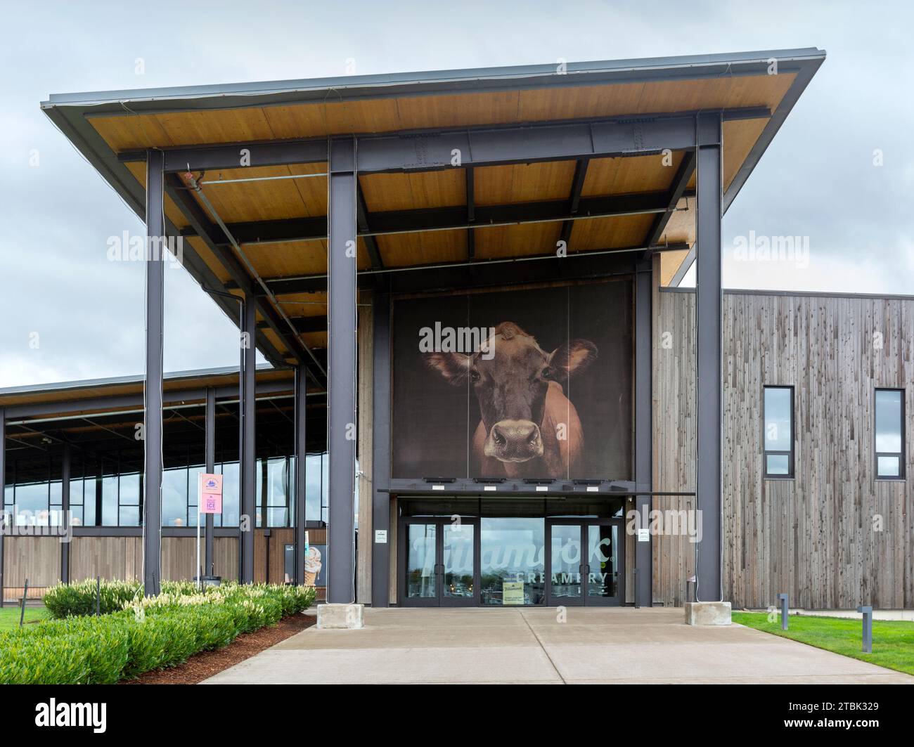 Portrait photo of Flower the award-winning show dairy cow at the ...