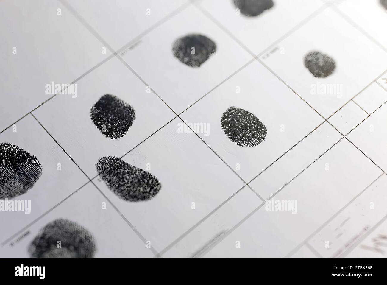 Fingerprint Identity Verification Concept Criminal Biometric Research