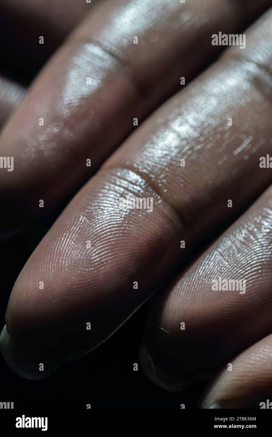 Fingerprint Identity Verification Concept Criminal Biometric Research