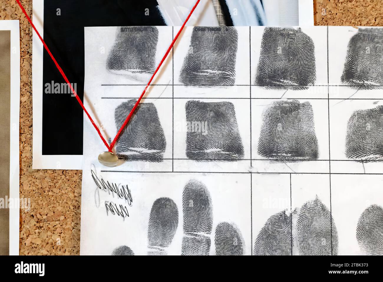 Fingerprint identity verification concept, criminal biometric research ...