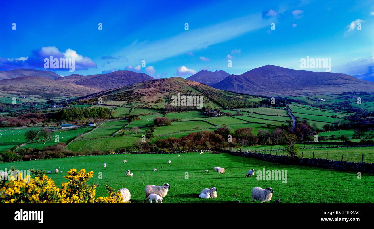 The Mountains of Mourne from Trassey Road, Bryansford, Newcastle ...