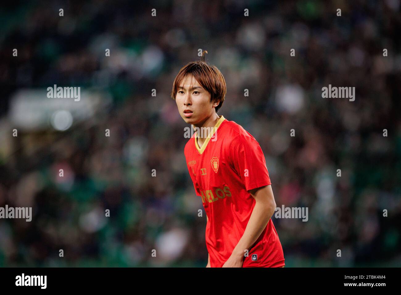 Tatsuki fujimoto hi-res stock photography and images - Alamy