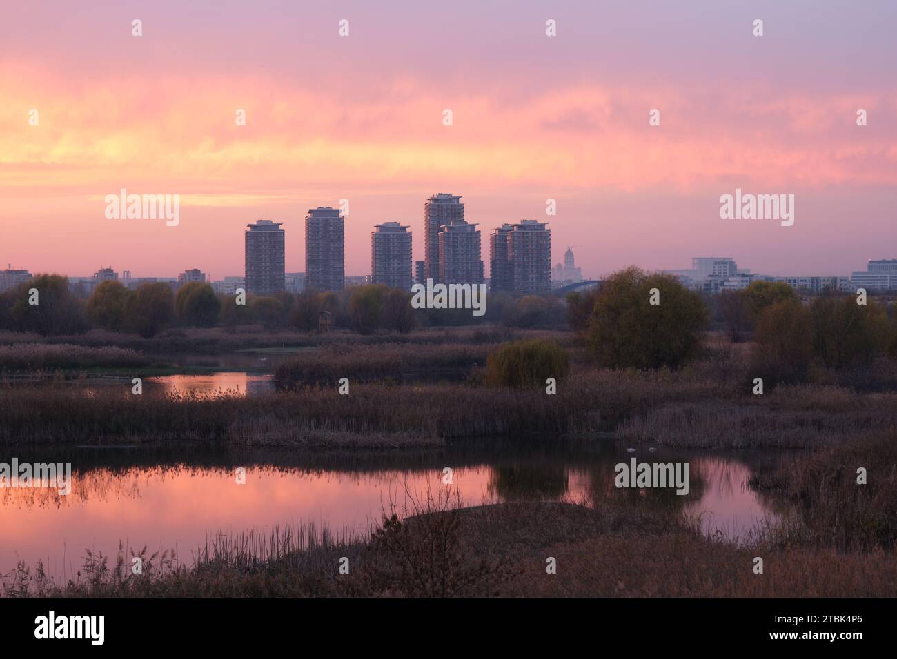 Smog over Bucharest city skyline at Vacaresti Nature Park (Parcul ...