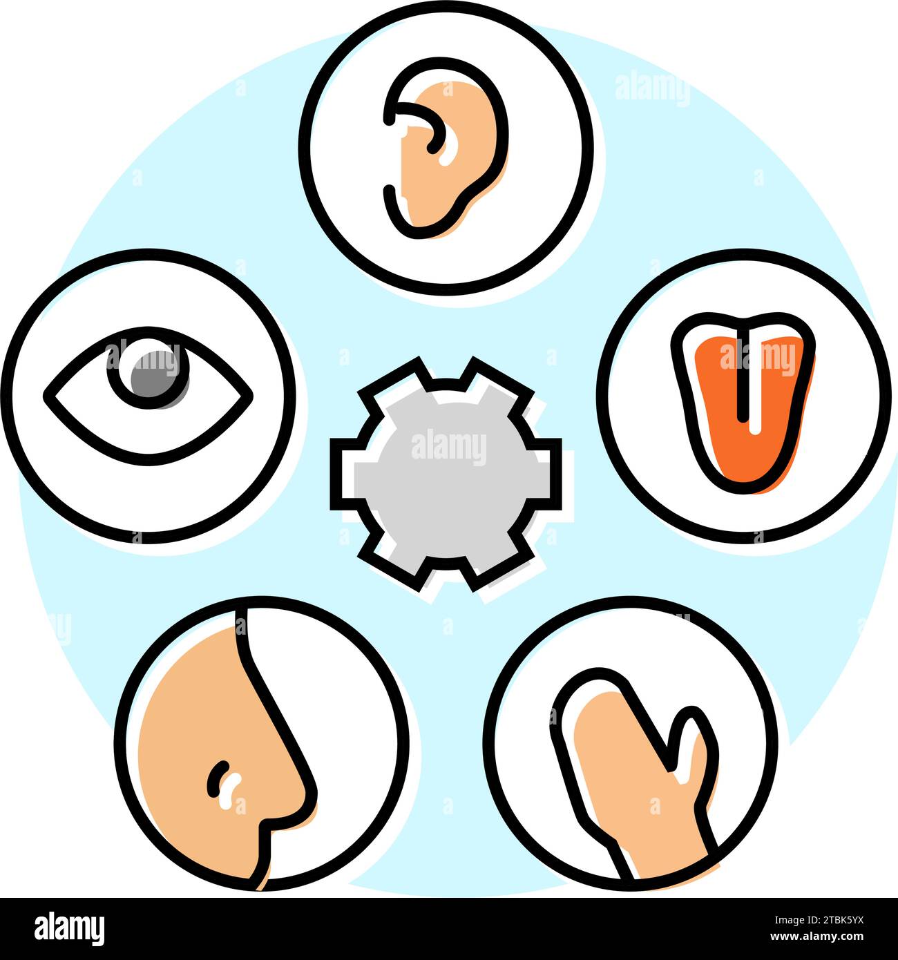 sensory integration occupational therapist color icon vector ...