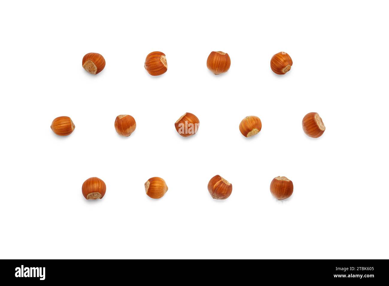 Hazelnut in shell hi-res stock photography and images - Alamy