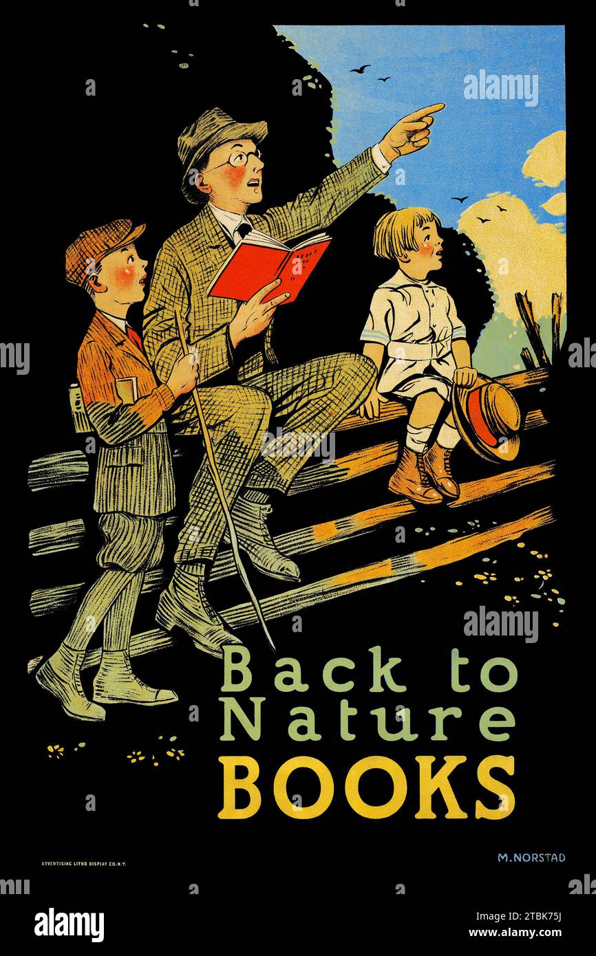 Poster from New York : Advertising Litho Display Co. promoting reading ...