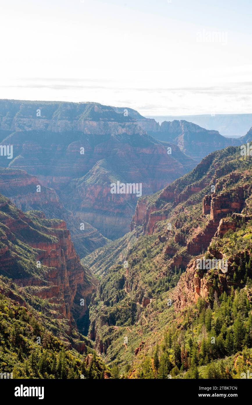 Photograph of the spectacular Grand Canyon, taken from the Coconino ...