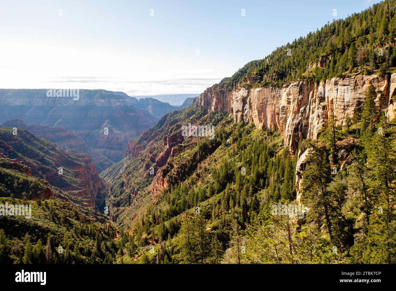 Photograph of the spectacular Grand Canyon, taken from the Coconino ...