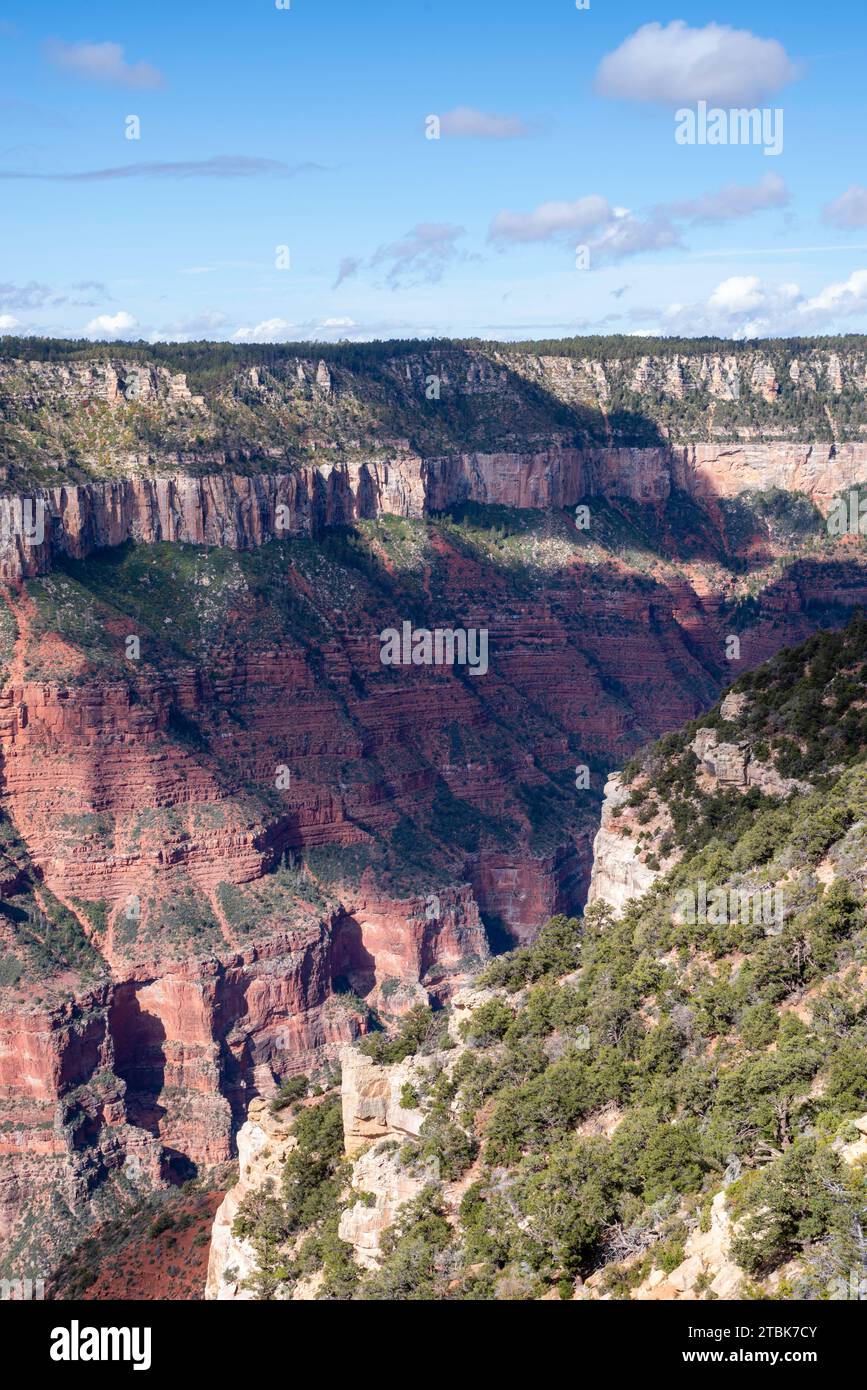 Photograph of the spectacular Grand Canyon, taken from the Bright Angel ...