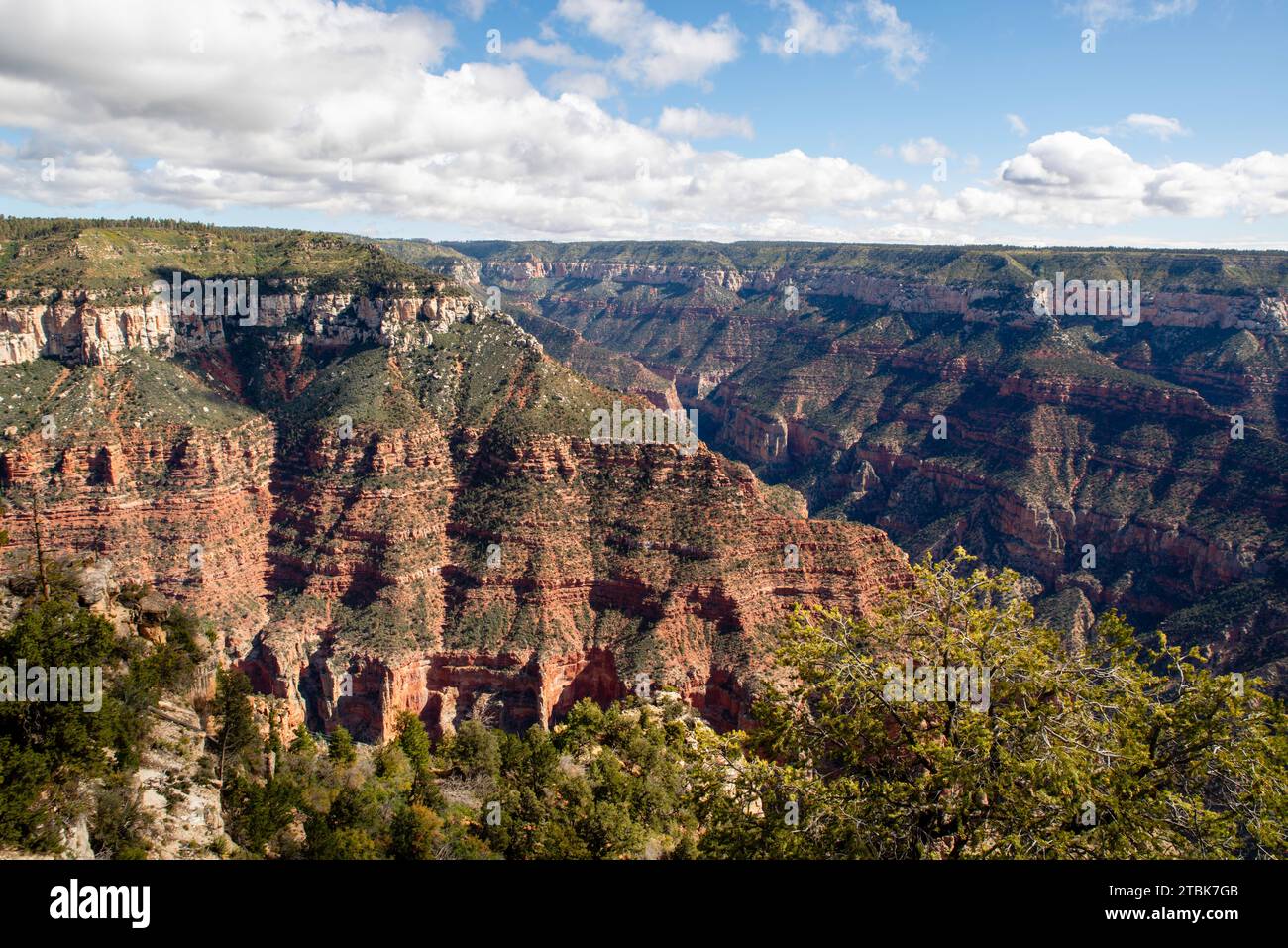 Photograph of the spectacular Grand Canyon, taken from the Bright Angel ...