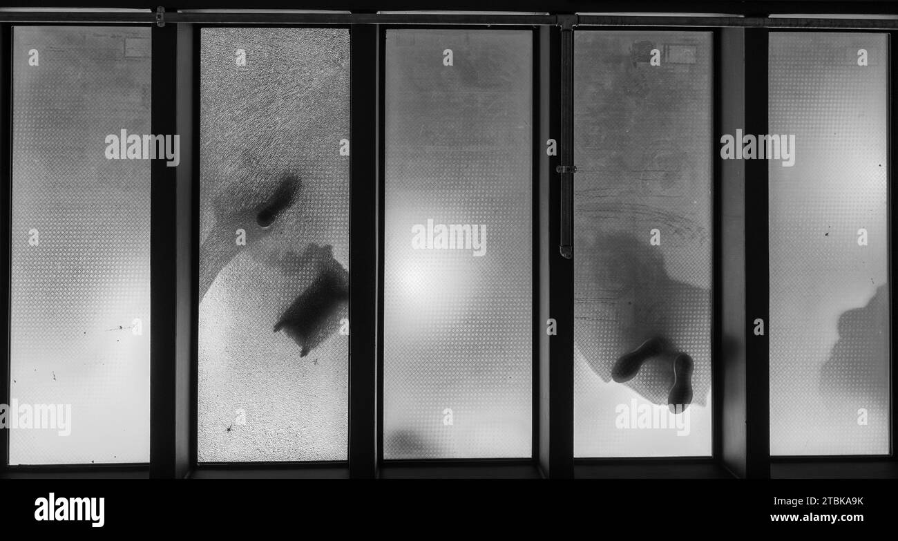 A white wooden window frame adorned with multiple rectangular panes of ...