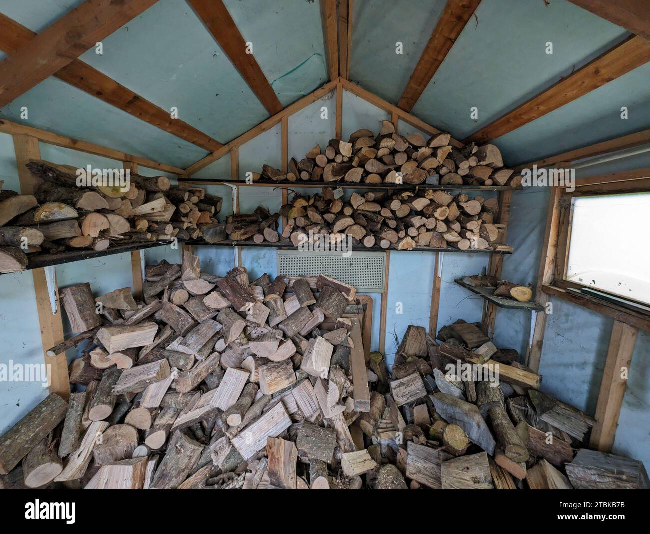 A stack of logs is neatly arranged against the side of a wooden shed ...