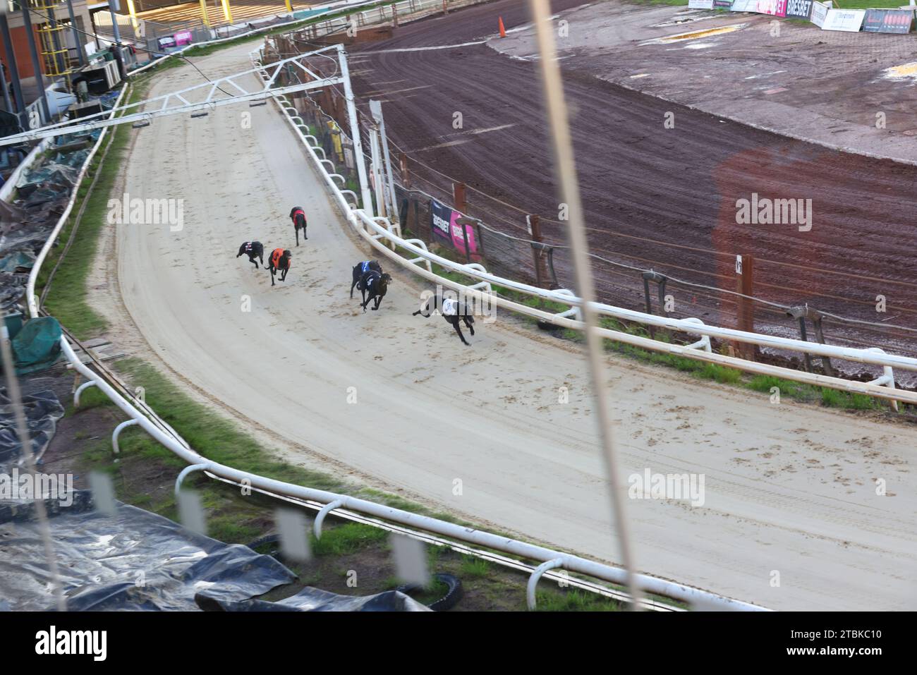 Greyhound racing track stadium hi-res stock photography and images - Alamy