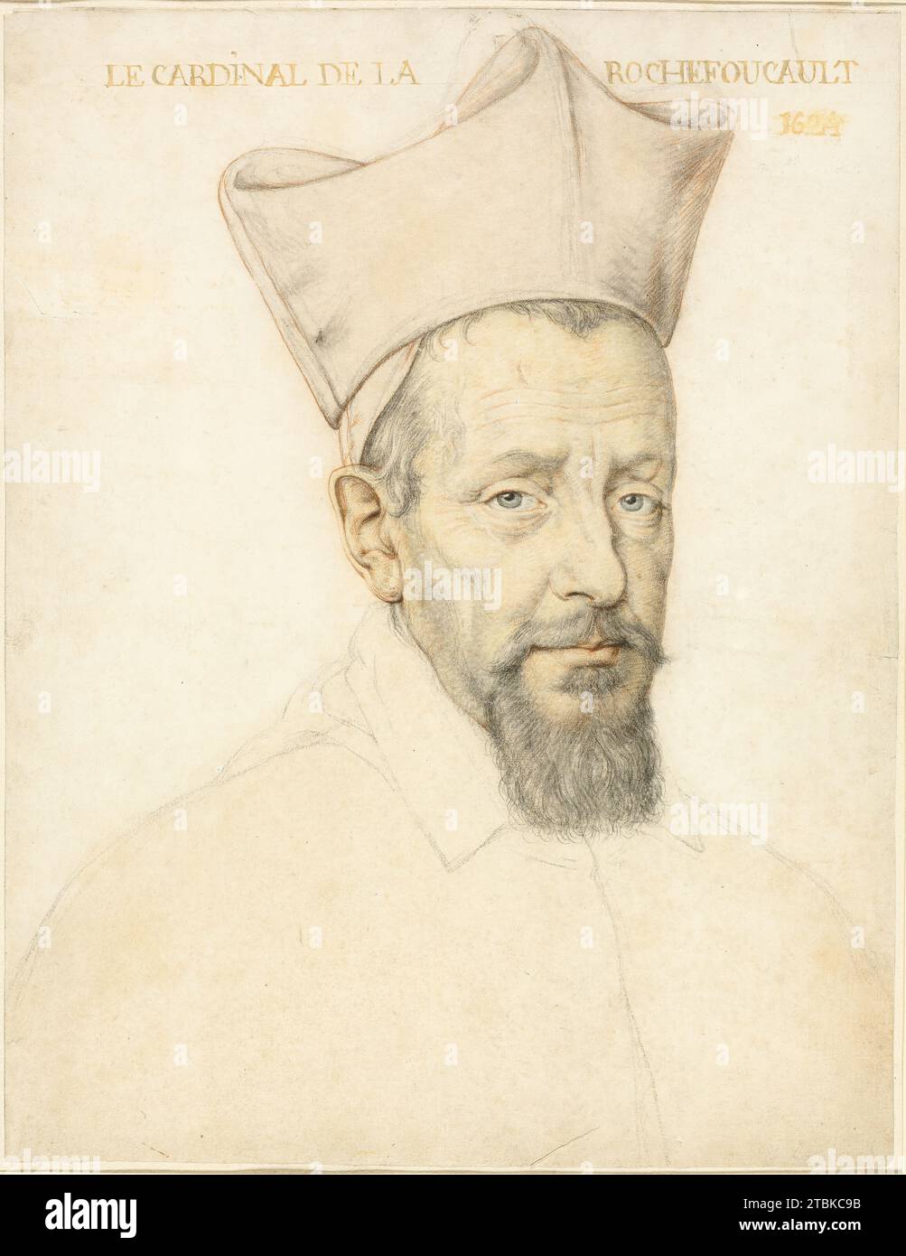 Cardinal 1624 hi-res stock photography and images - Alamy