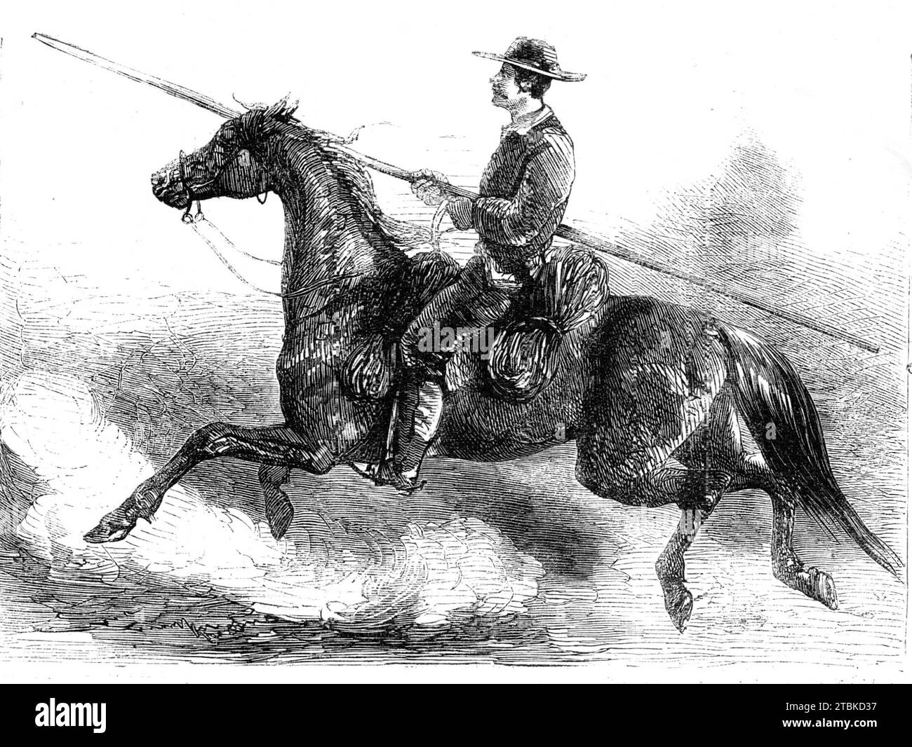 Farmhand horses Black and White Stock Photos & Images - Alamy