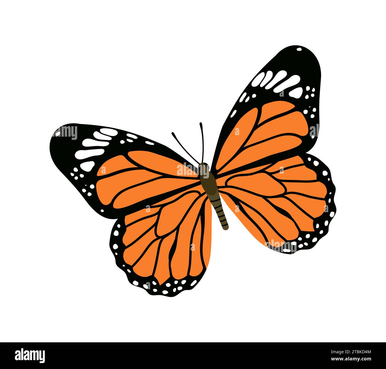 Animal insect moth small Cut Out Stock Images & Pictures - Alamy