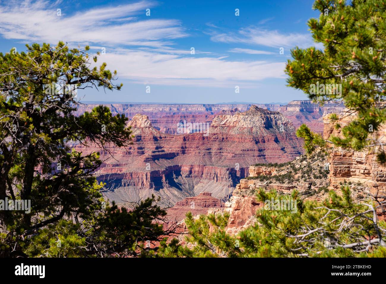 Photograph from Cape Royal, North Rim. Grand Canyon National Park ...