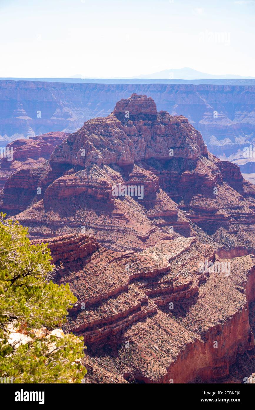Photograph from Cape Royal, North Rim. Grand Canyon National Park ...