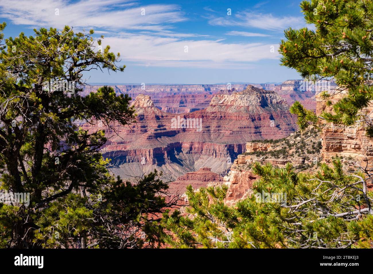 Photograph from Cape Royal, North Rim. Grand Canyon National Park ...