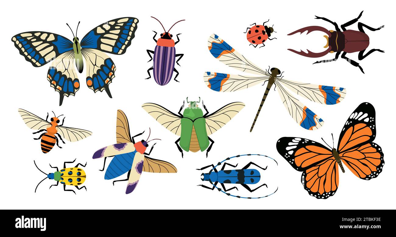Set of insects vector Stock Vector Image & Art - Alamy