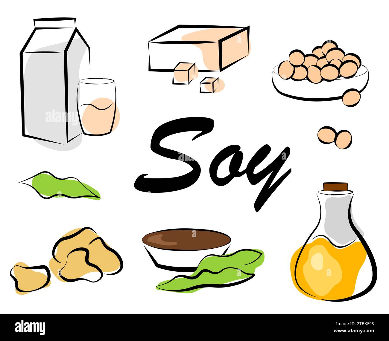 Bean sprout on white Stock Vector Images - Alamy