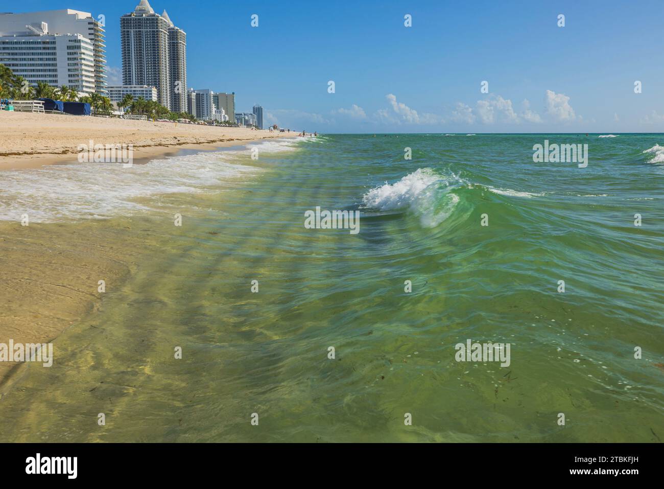 Beautiful view of tall buildings along the Miami Beach coastline ...