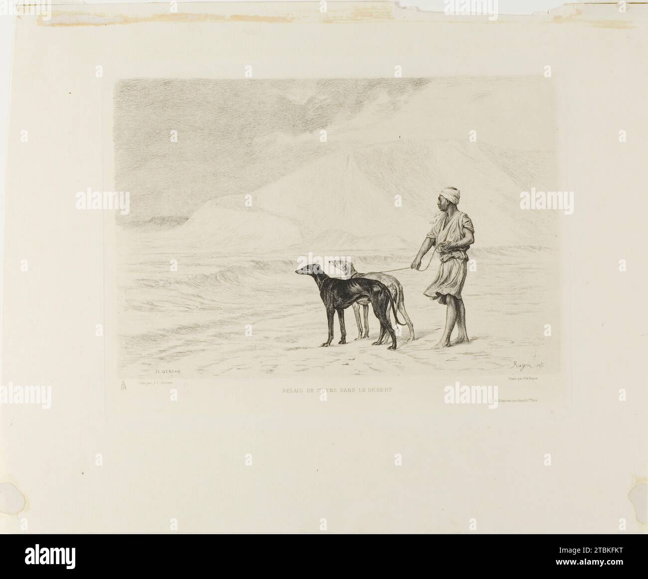 Dogs relay hi-res stock photography and images - Alamy