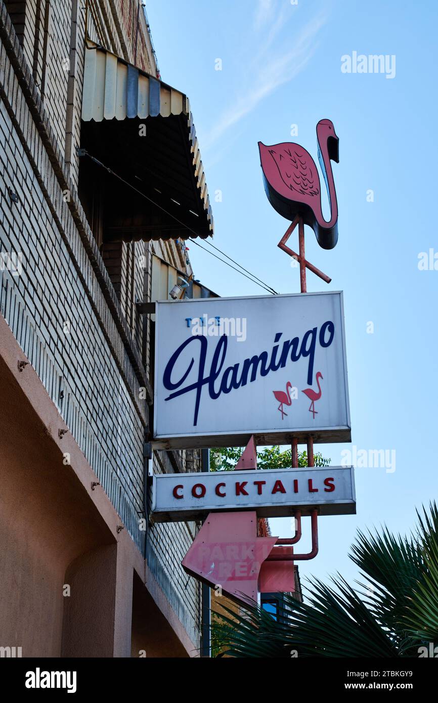 Only flamingo hi-res stock photography and images - Alamy