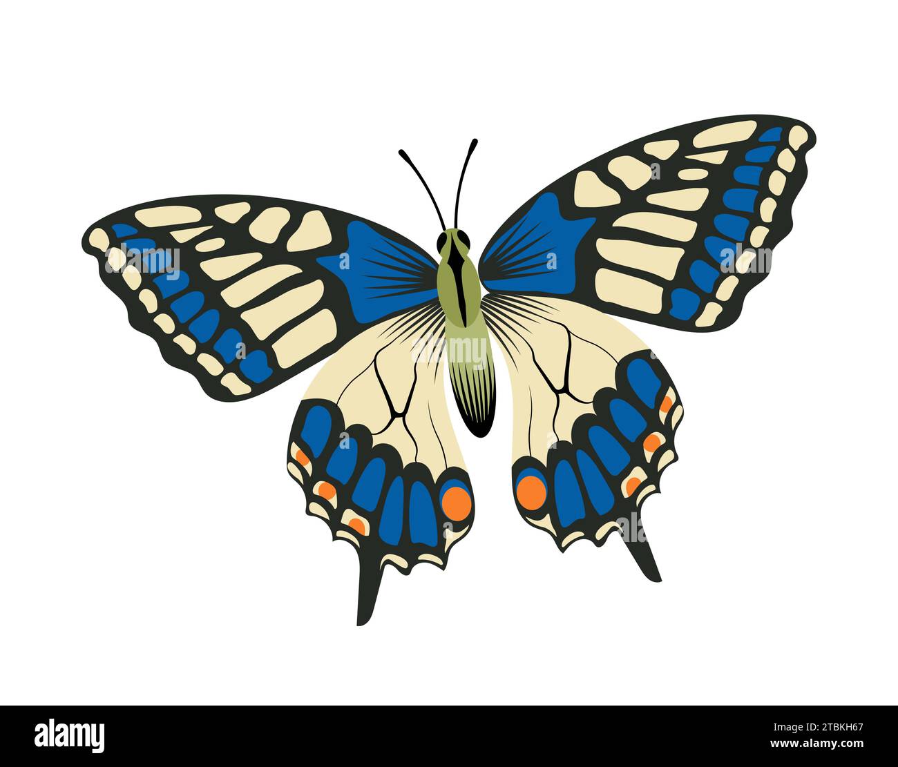Animal insect moth small Cut Out Stock Images & Pictures - Alamy