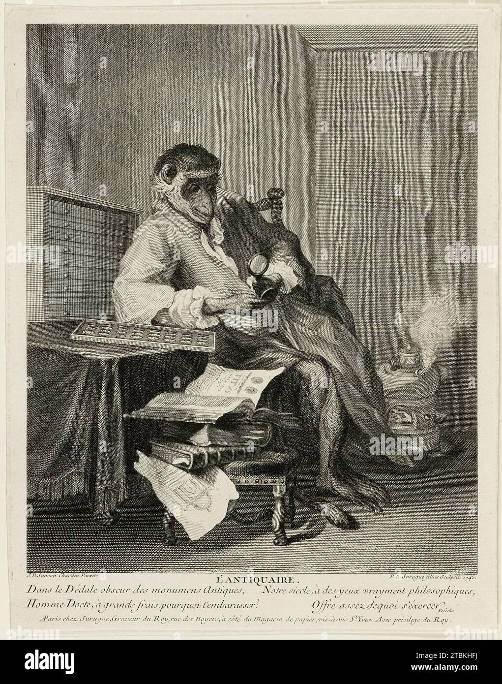 Monkey magnifying glass hi-res stock photography and images - Alamy