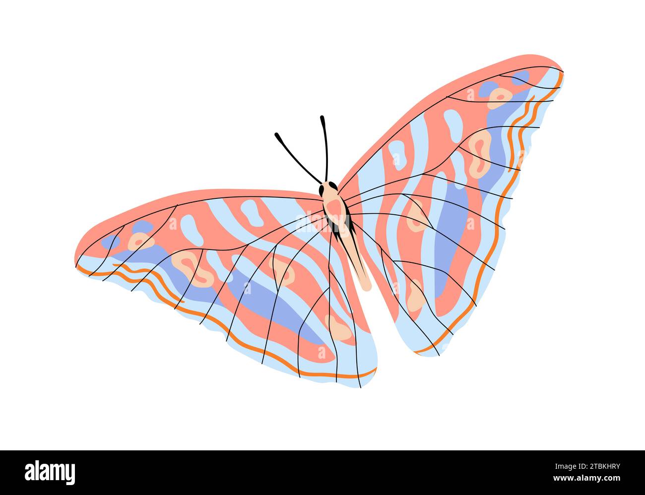 Colorful butterfly vector concept Stock Vector Image & Art - Alamy