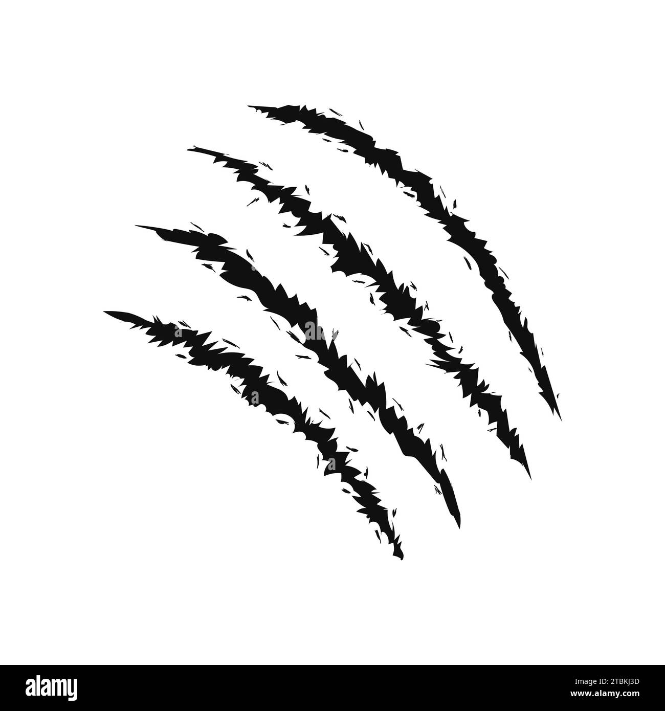 Leopard claw marks hi-res stock photography and images - Alamy