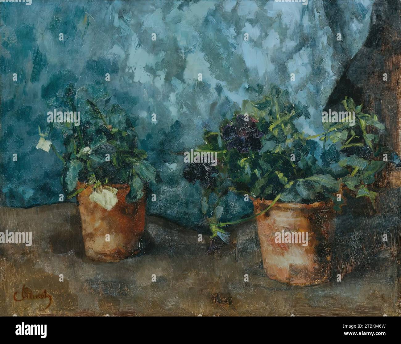 Potted plant plants terra cotta terracotta pots hi-res stock ...