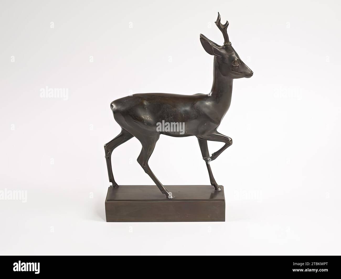 Roebuck with white colour hi-res stock photography and images - Alamy