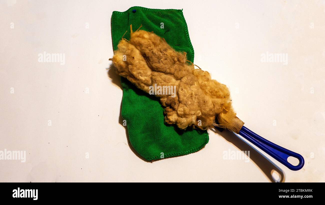 High angle closeup fluffy hi-res stock photography and images - Alamy