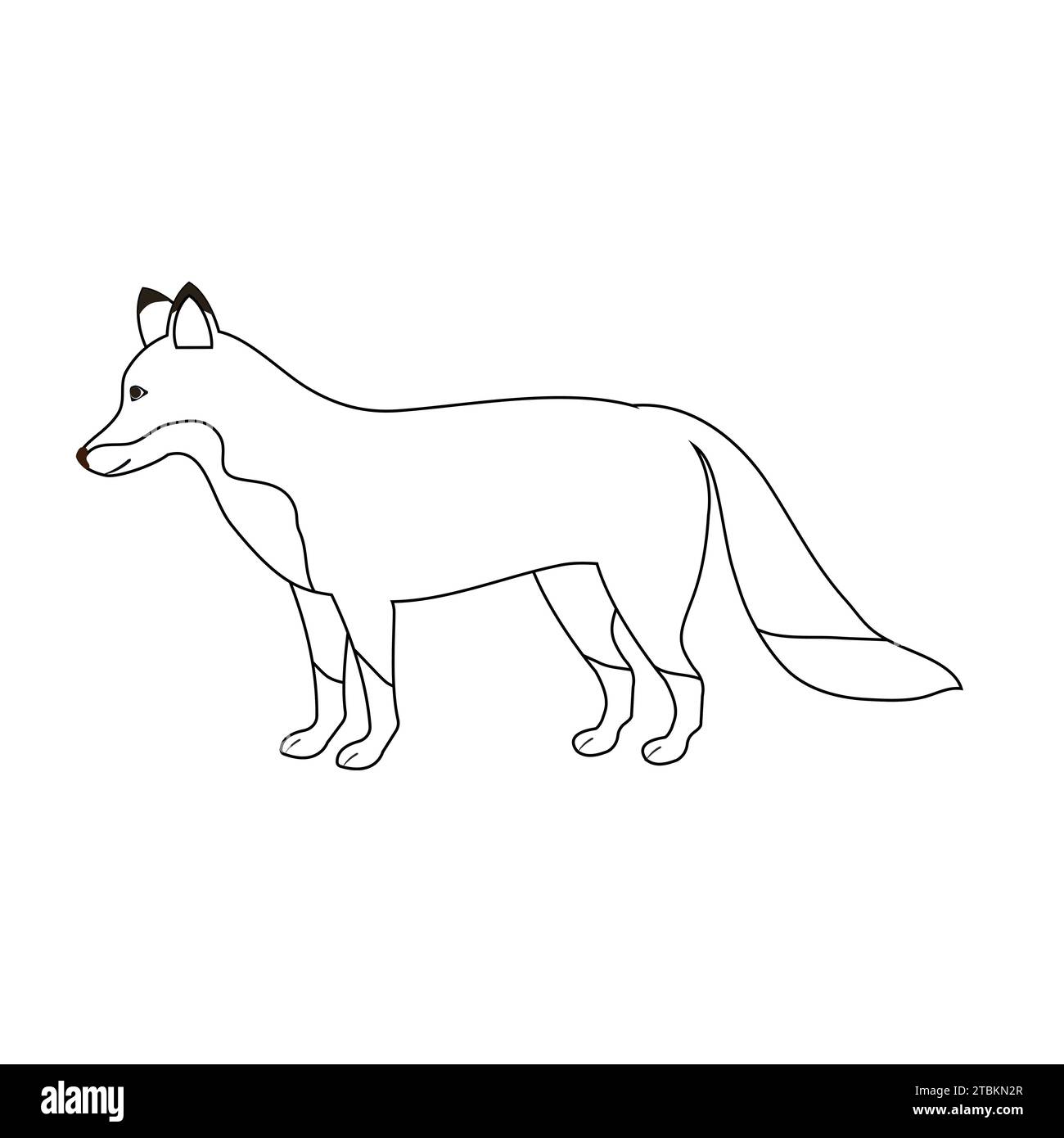 Vector flat hand drawn outline fox Stock Vector Image & Art - Alamy