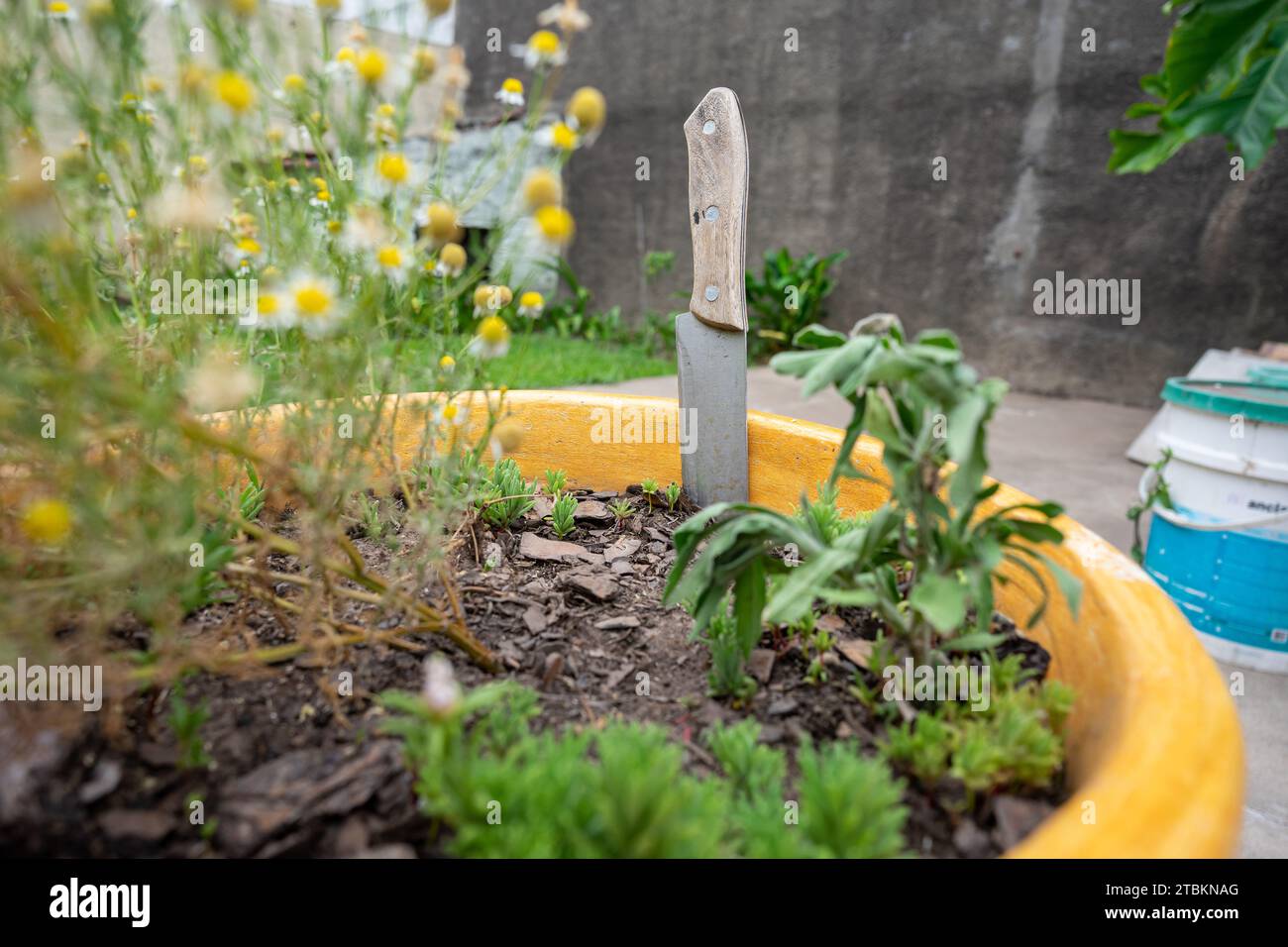 photo of a courtyard full of pots with plants and flowers Stock Photo ...