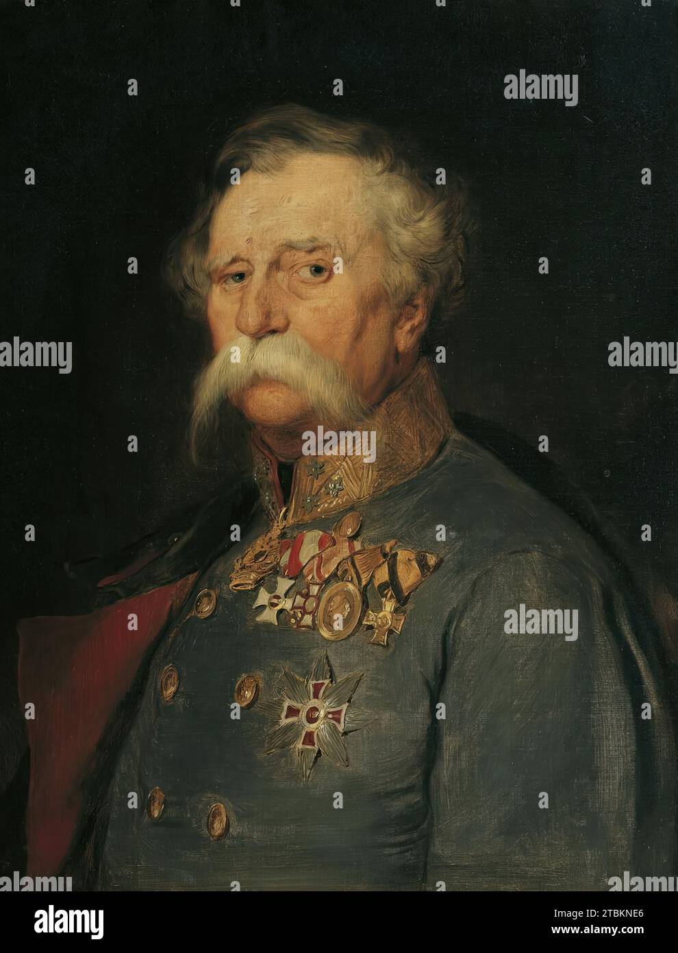 Field engineer Franz von Hauslab, 1875 Stock Photo - Alamy