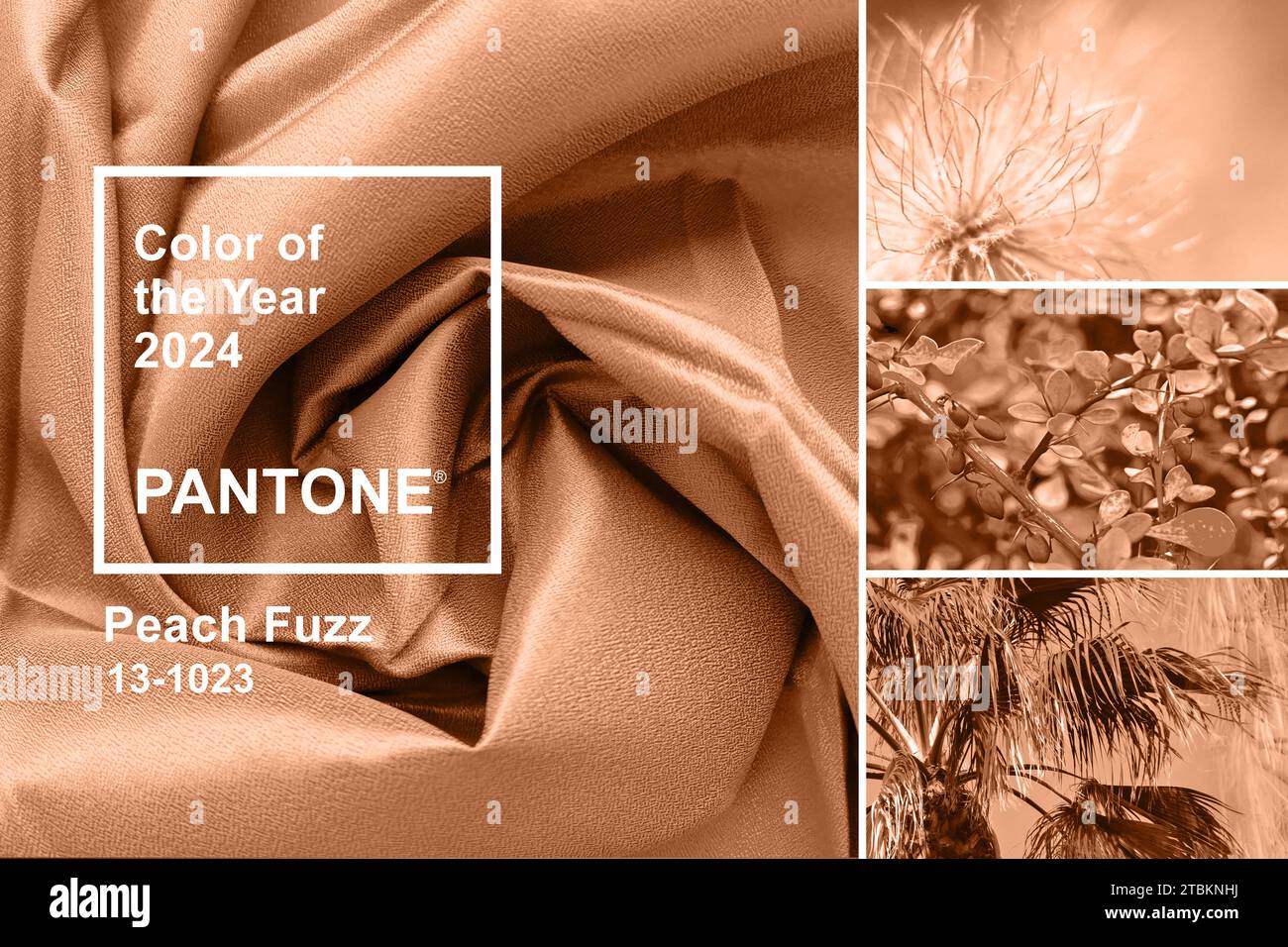 Peach fuzz is color of year 2024. Multiple textures in collage toned in ...