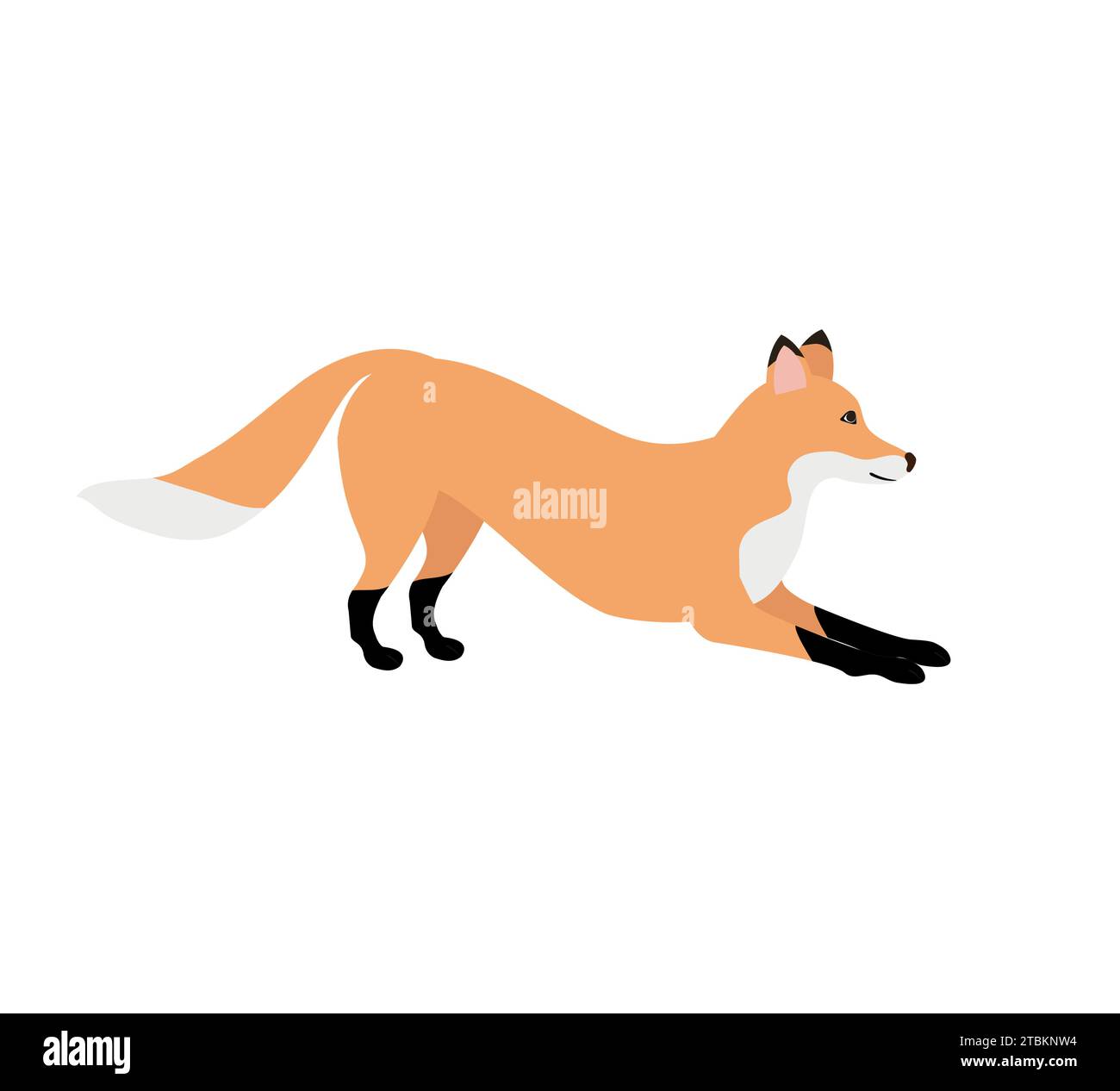 Vector hand drawn flat fox Stock Vector Image & Art - Alamy