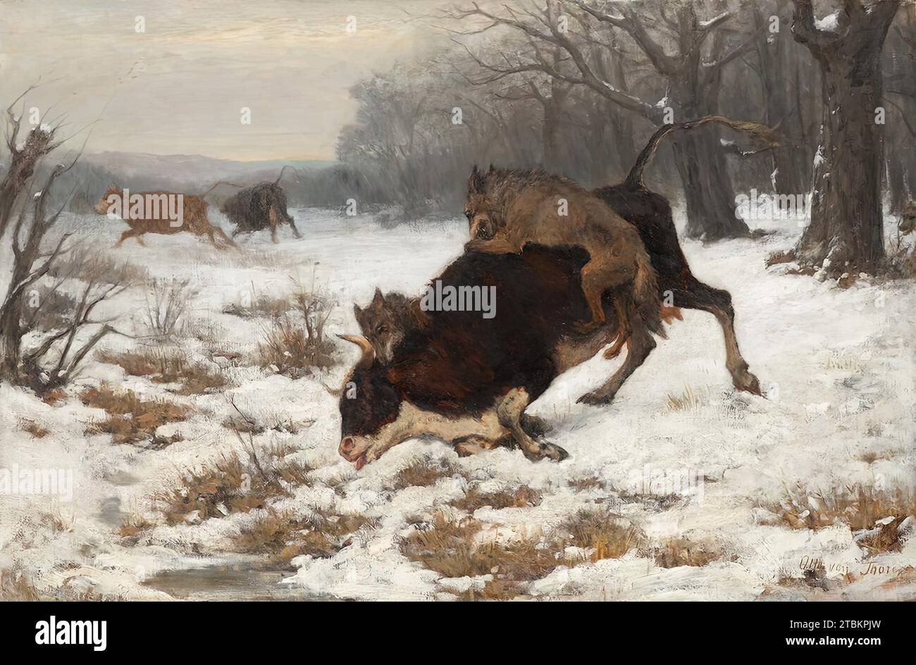 A cow is attacked by wolves, before 1872 Stock Photo - Alamy