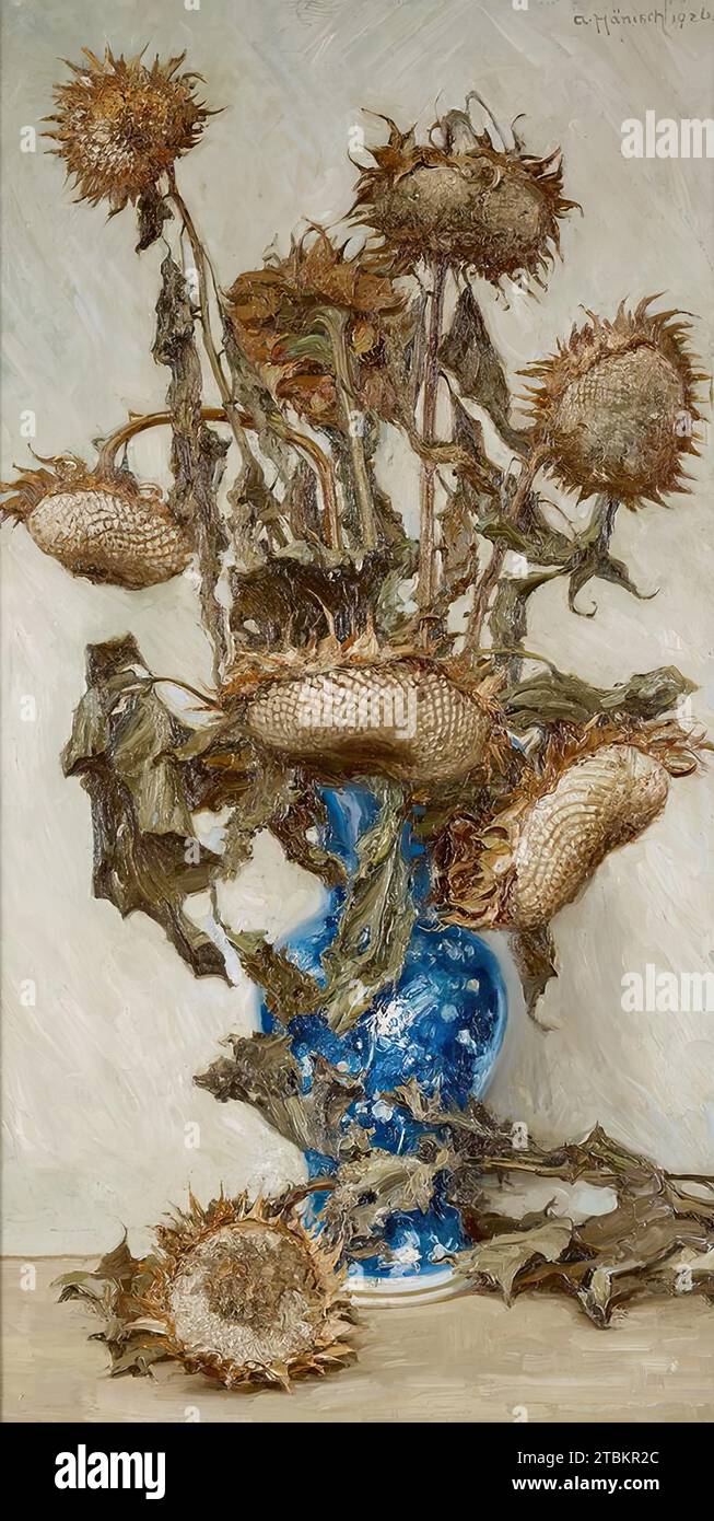 Helianthus botanical art hi-res stock photography and images - Alamy