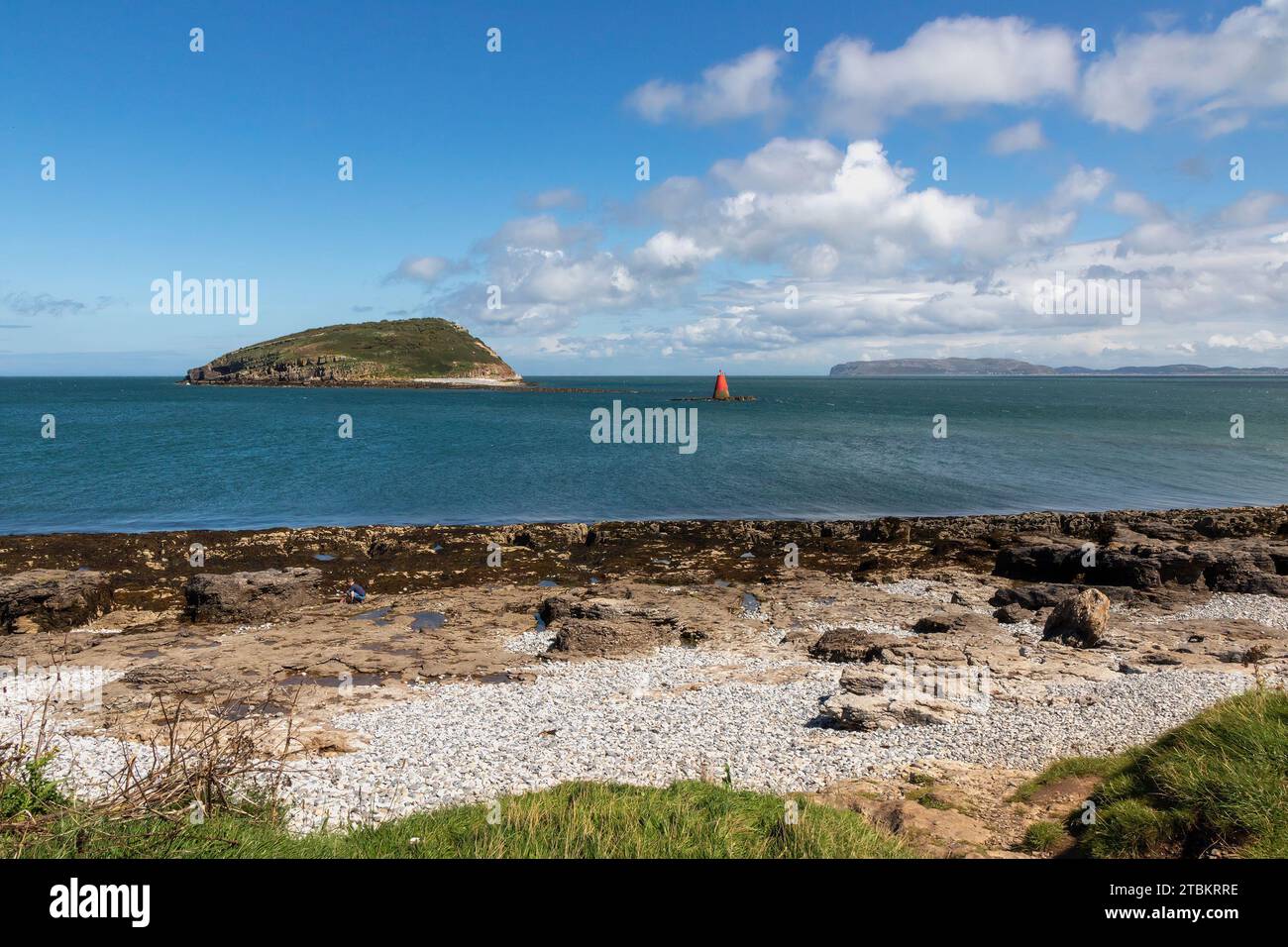 Puffin island anglesey hi-res stock photography and images - Alamy