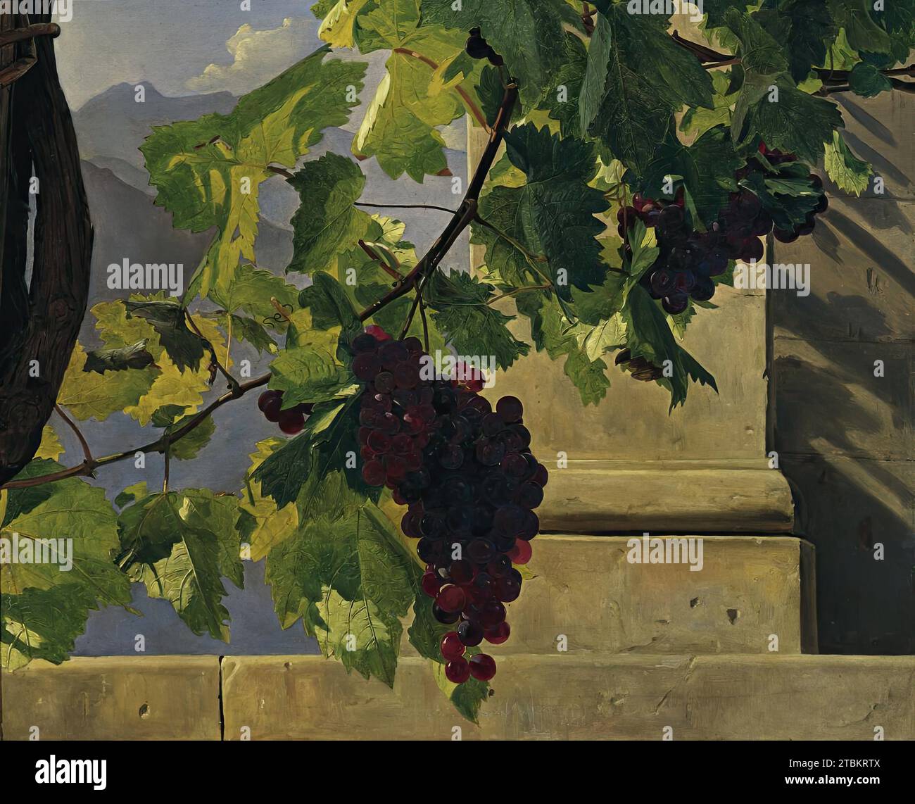 Grape feature hi-res stock photography and images - Alamy