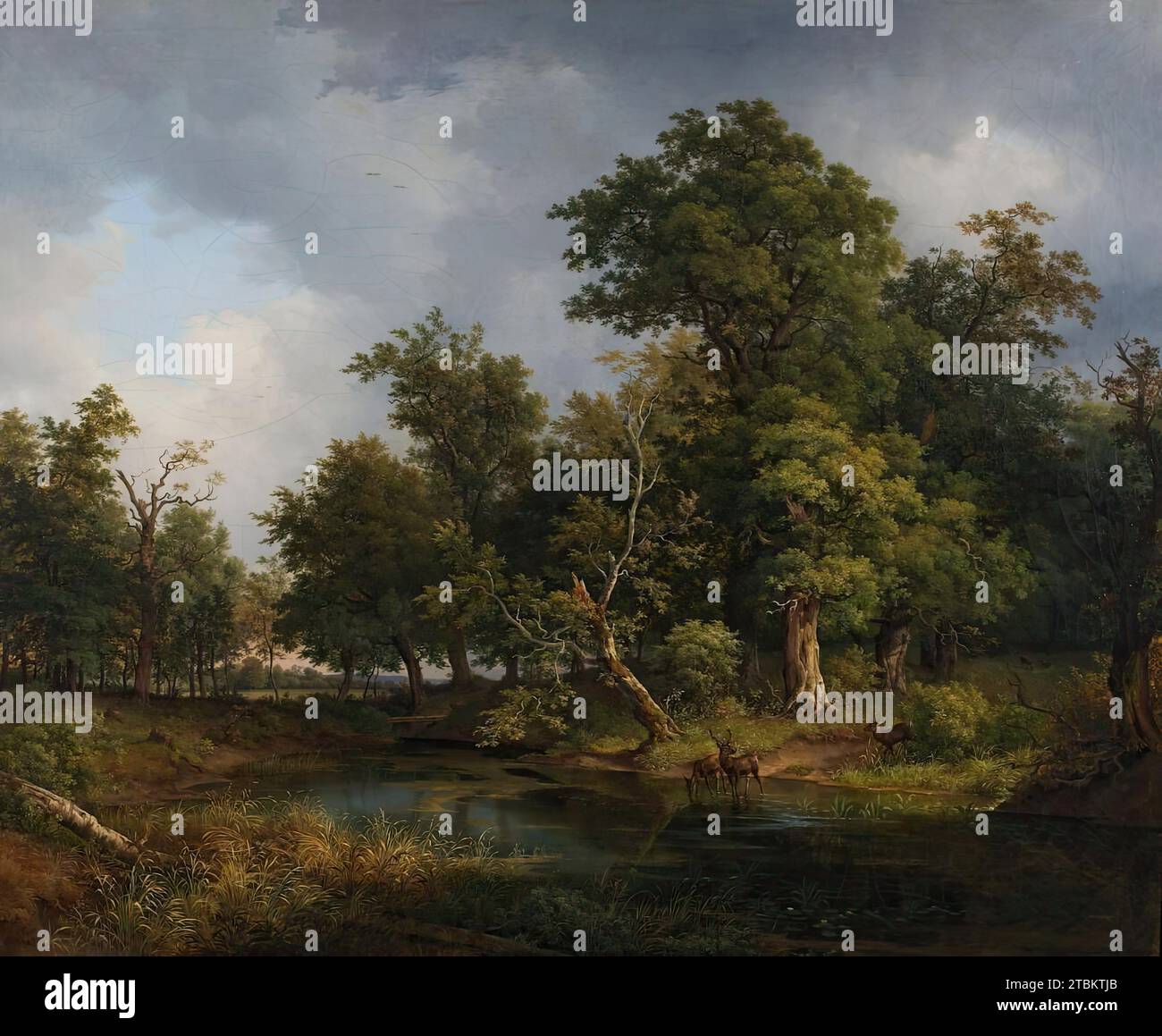 Forest landscape, 1841 Stock Photo - Alamy