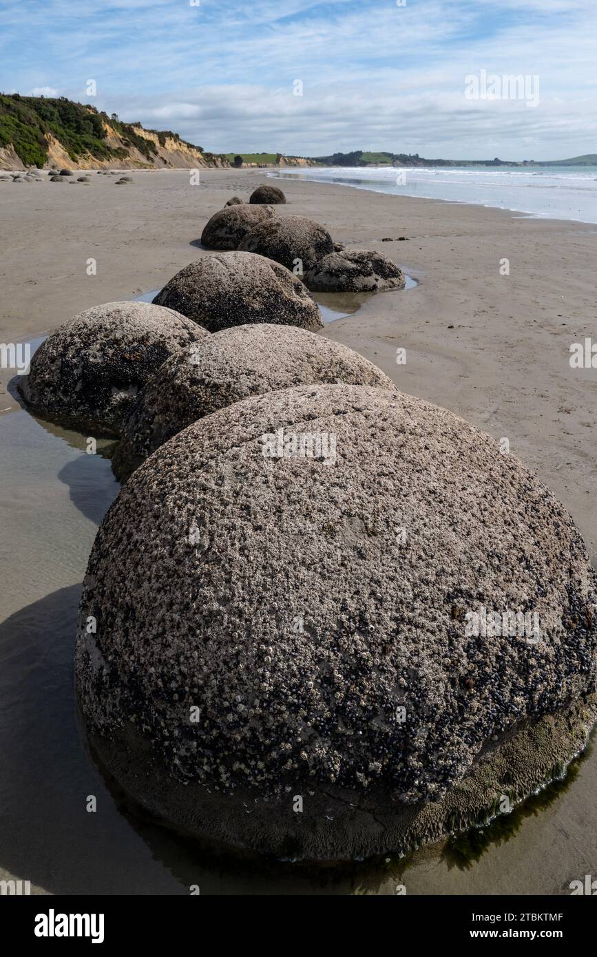 Road trip around the South Island of New Zealand. Moeraki Boulders ...